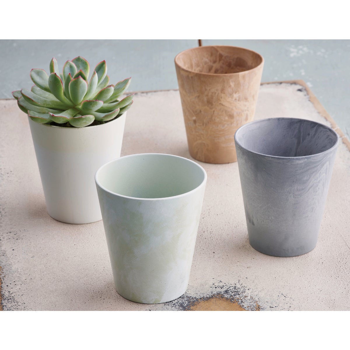 Novelty ArtStone Cache Pot - 3" | 615 Nursery and Garden Center