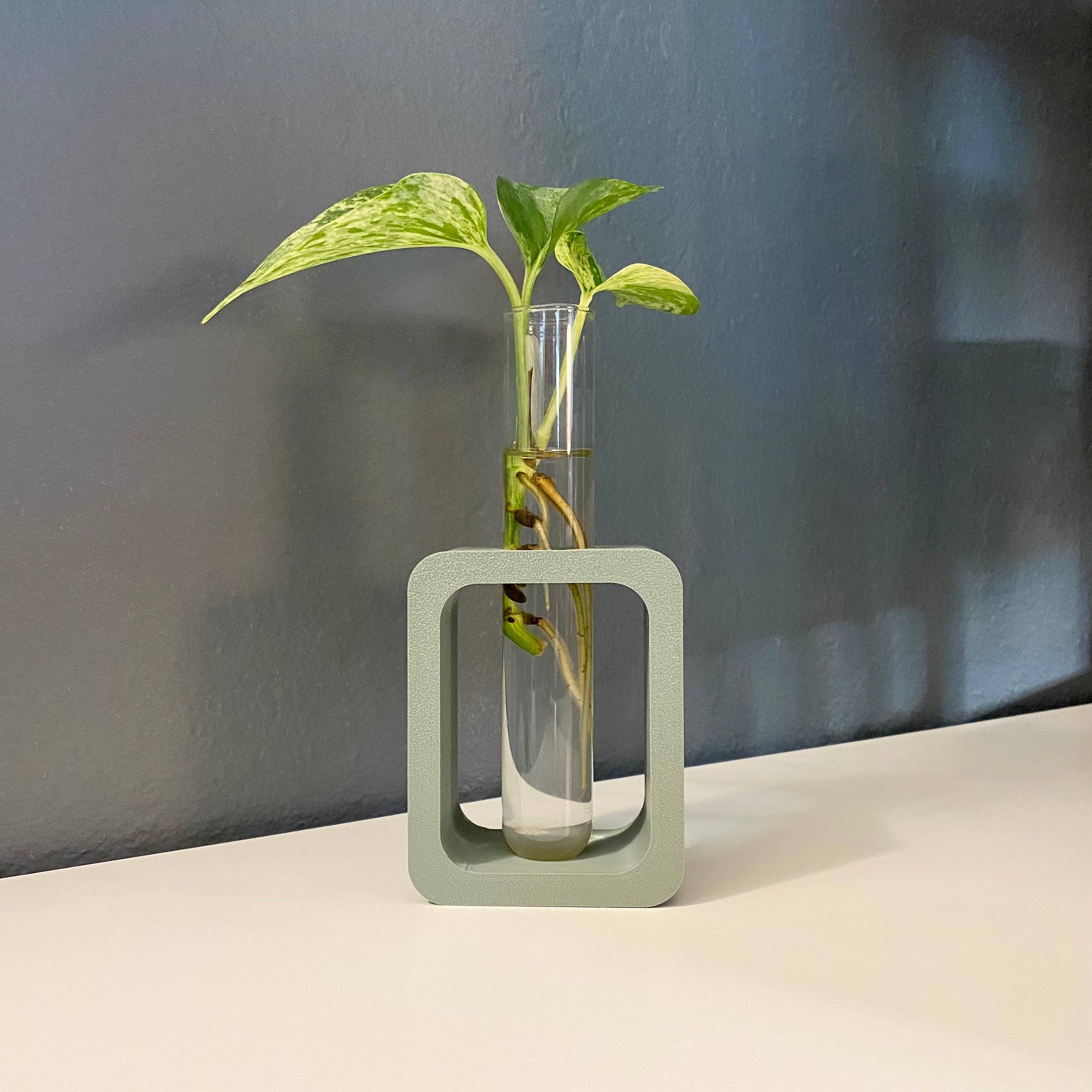 3D Printed Propagation Station, Plant Propagation Stand: Earthy Sage ...